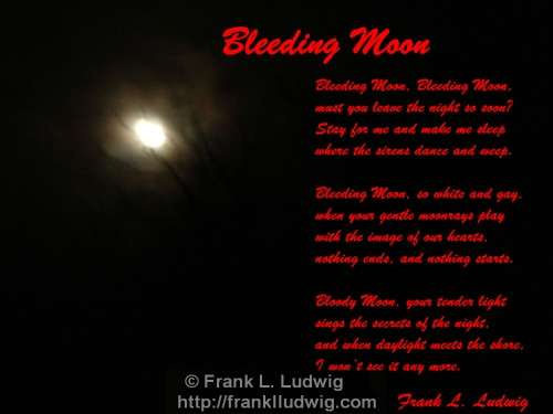 1 - Bleeding Moon