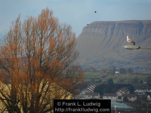 Benbulben