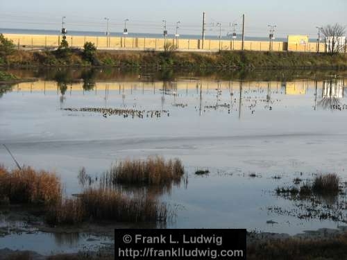 Booterstown Nature Reserve