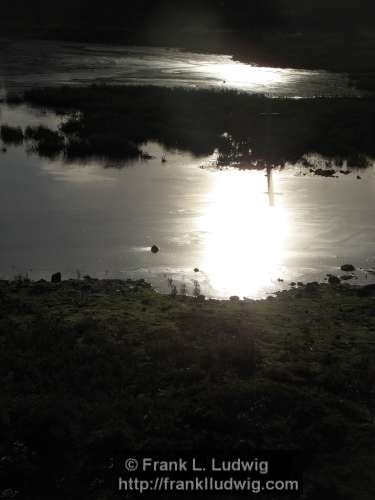 Booterstown Nature Reserve