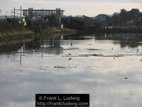 Booterstown Nature Reserve