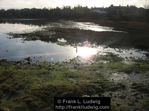 Booterstown Nature Reserve