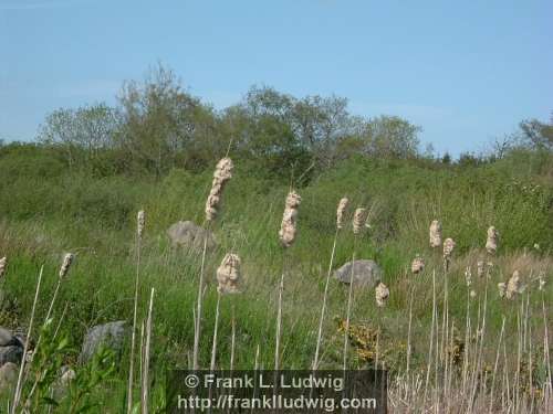 Collooney, County Sligo